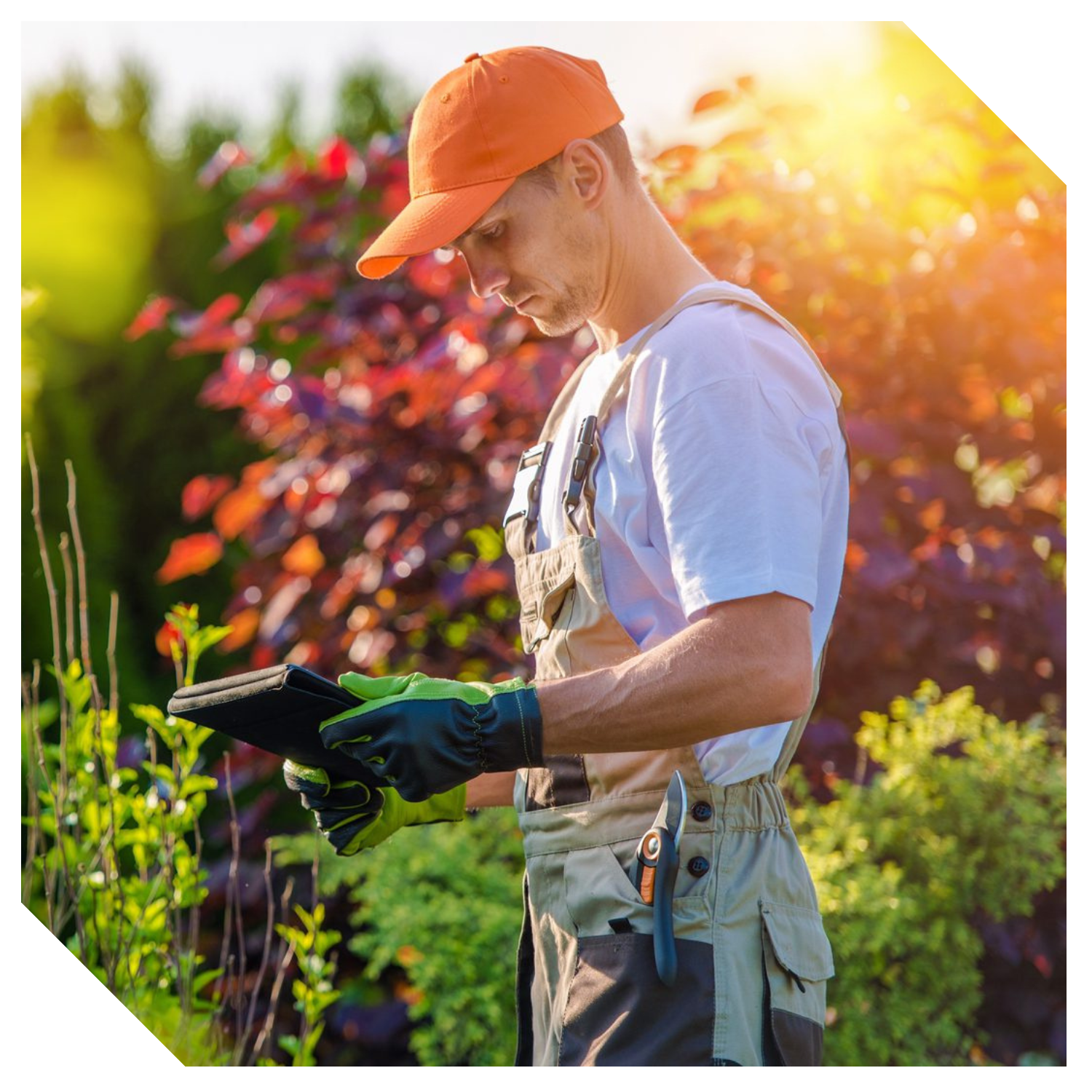 Landscaping And Exterior Maintenance | Enhance Your Property